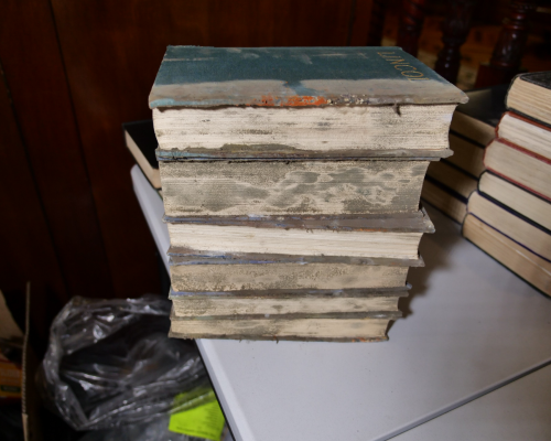 Identify Damage and Deterioration | History Trust of South Australia